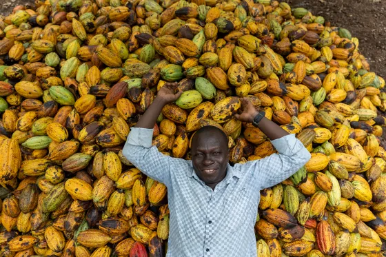 La historia de Sanfo | callebaut.com